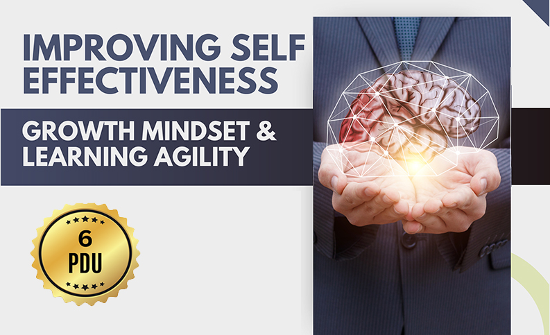 Growth Mindset & Learning Agility - Pelatihan Manajemen Risiko